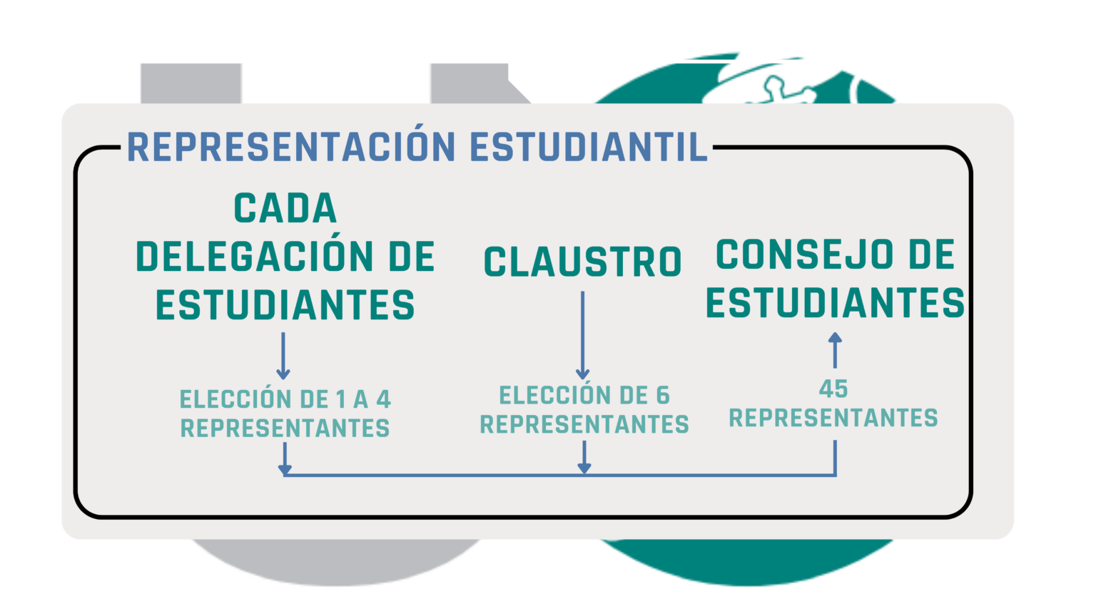 Estructura de la representación estudiantil – Consejo de Estudiantes de ...