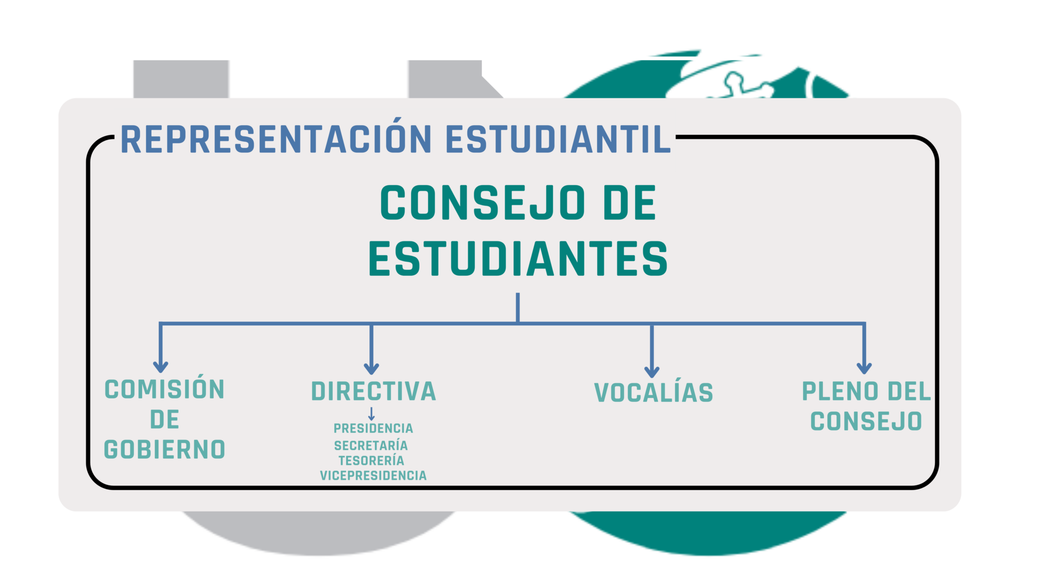 Estructura de la representación estudiantil – Consejo de Estudiantes de ...